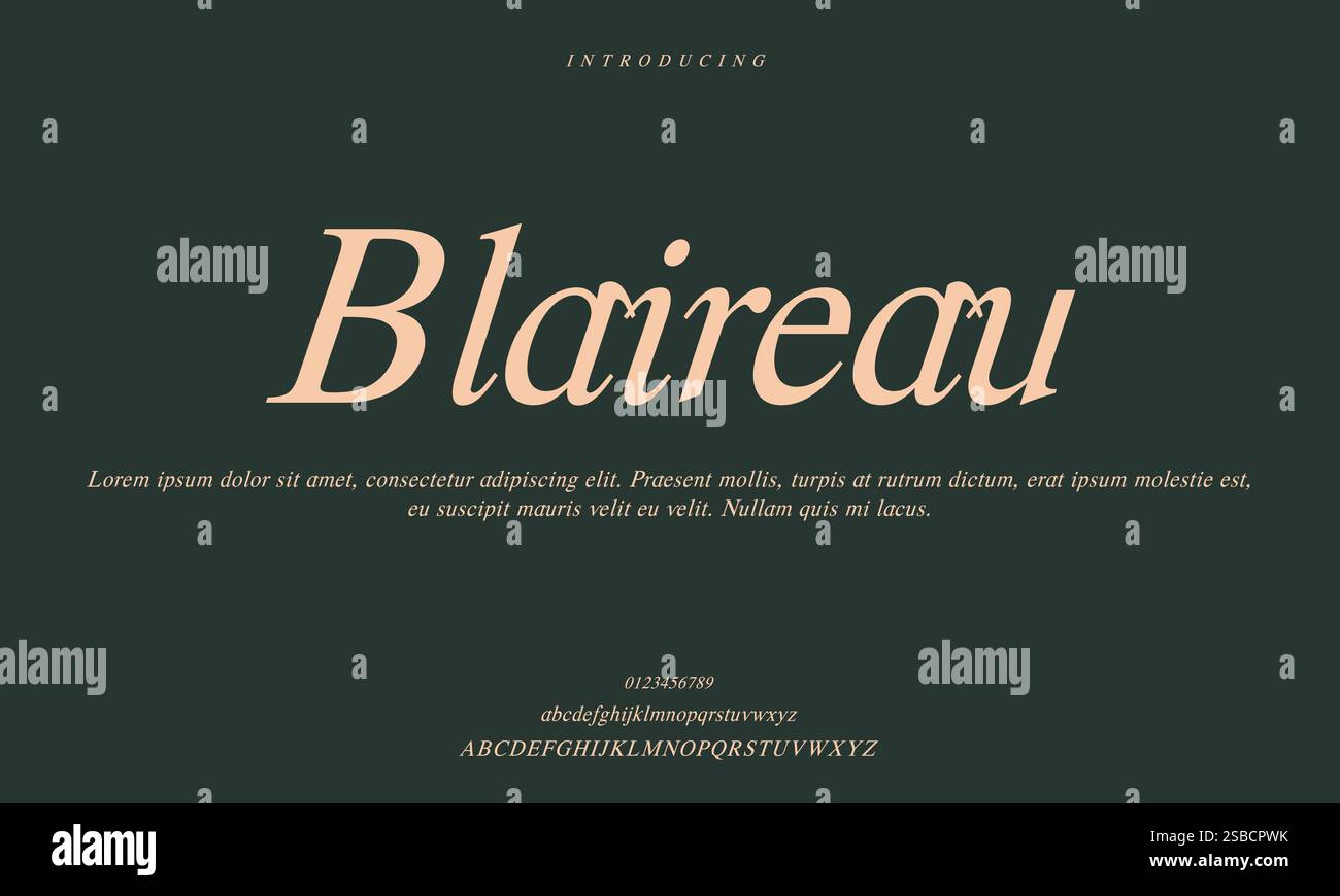 Elegant Font, Serif Typeface, Sans Serif, Modern Typography, Classic ...