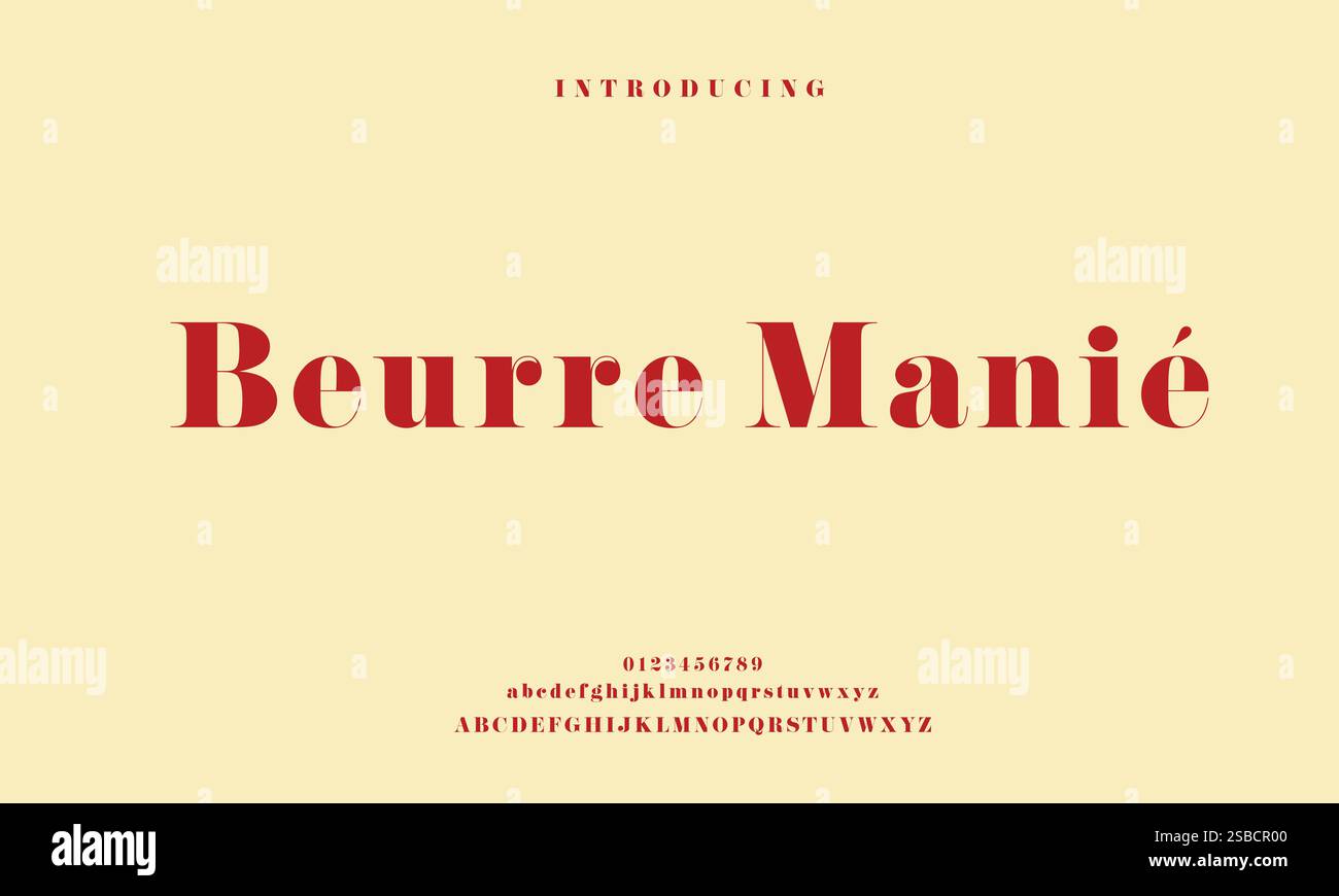 Elegant Font, Serif Typeface, Sans Serif, Modern Typography, Classic ...