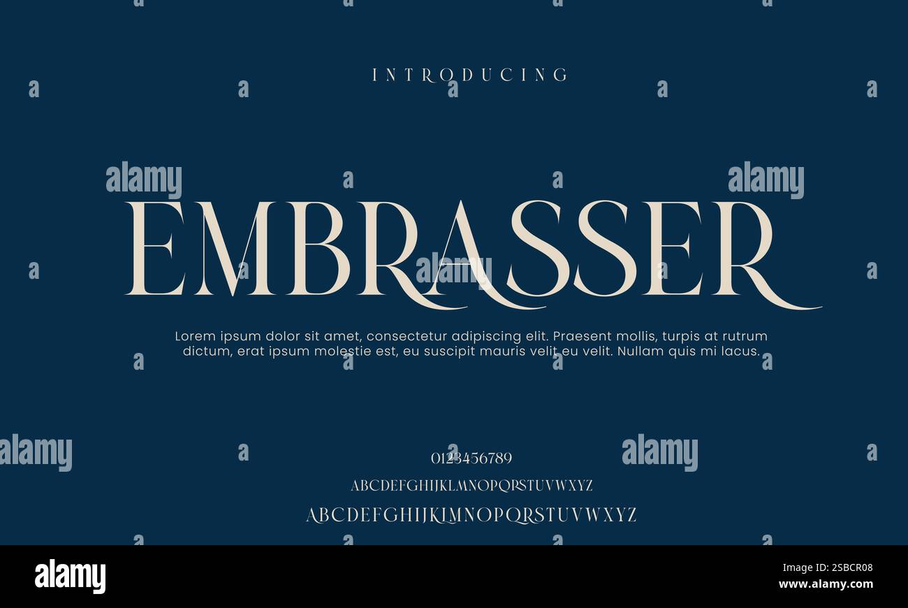 Elegant Font, Serif Typeface, Sans Serif, Modern Typography, Classic ...