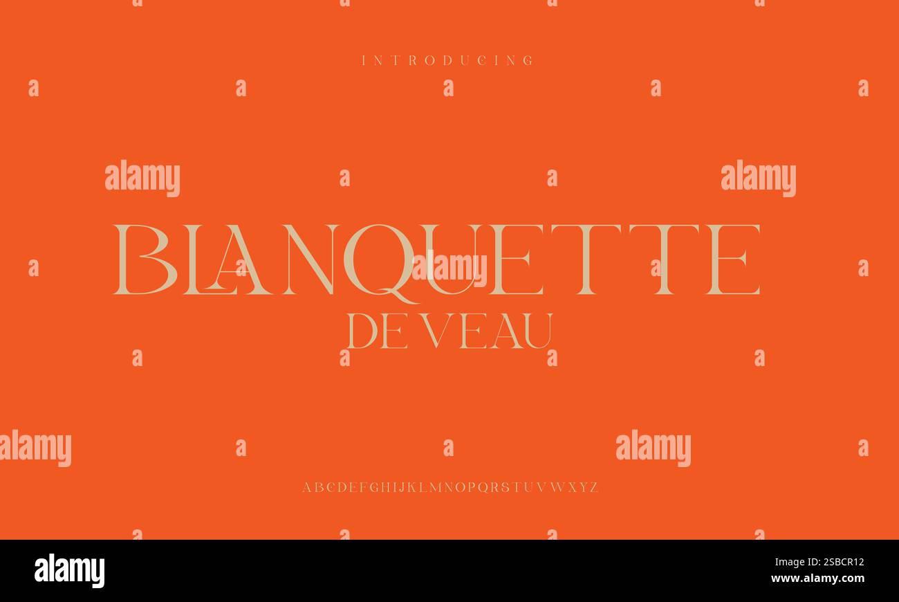 Elegant Font, Serif Typeface, Sans Serif, Modern Typography, Classic ...