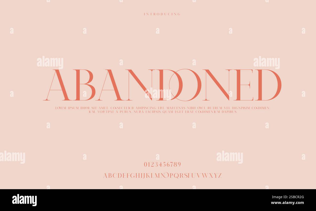 Elegant Font, Serif Typeface, Sans Serif, Modern Typography, Classic ...