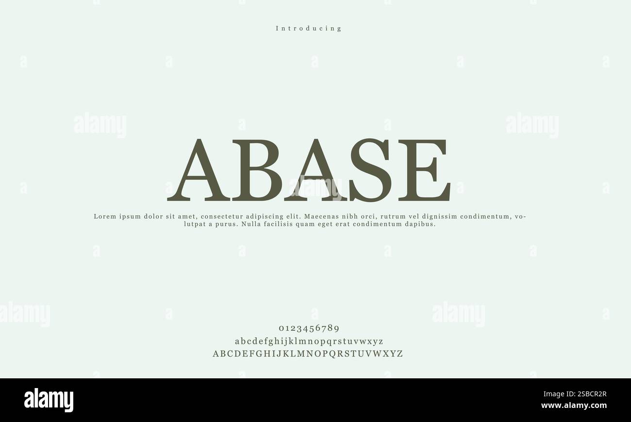 Elegant Font, Serif Typeface, Sans Serif, Modern Typography, Classic ...