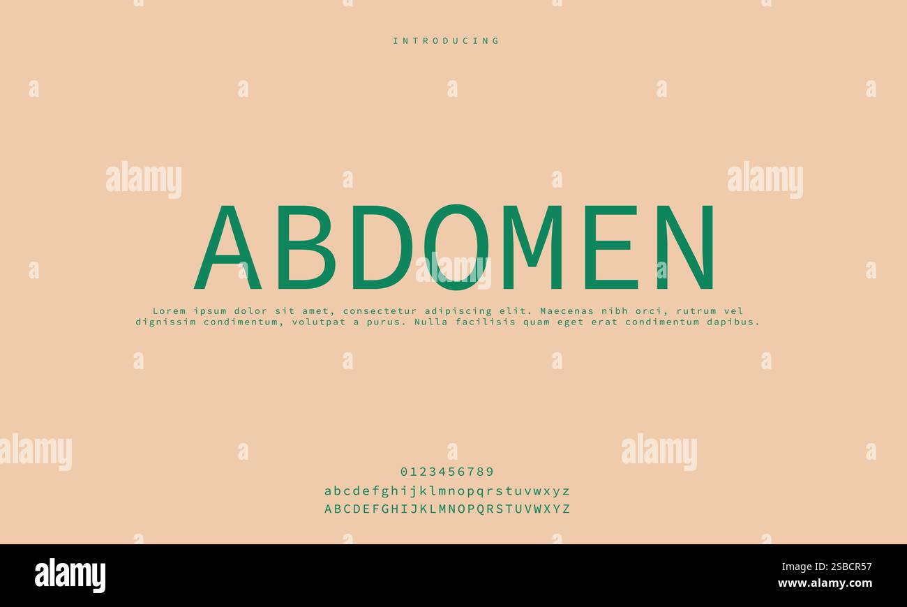 Elegant Font, Serif Typeface, Sans Serif, Modern Typography, Classic ...