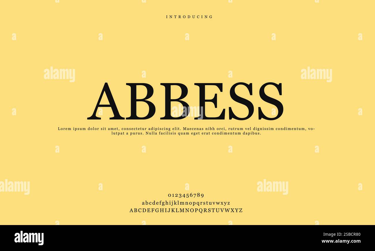 Elegant Font, Serif Typeface, Sans Serif, Modern Typography, Classic ...