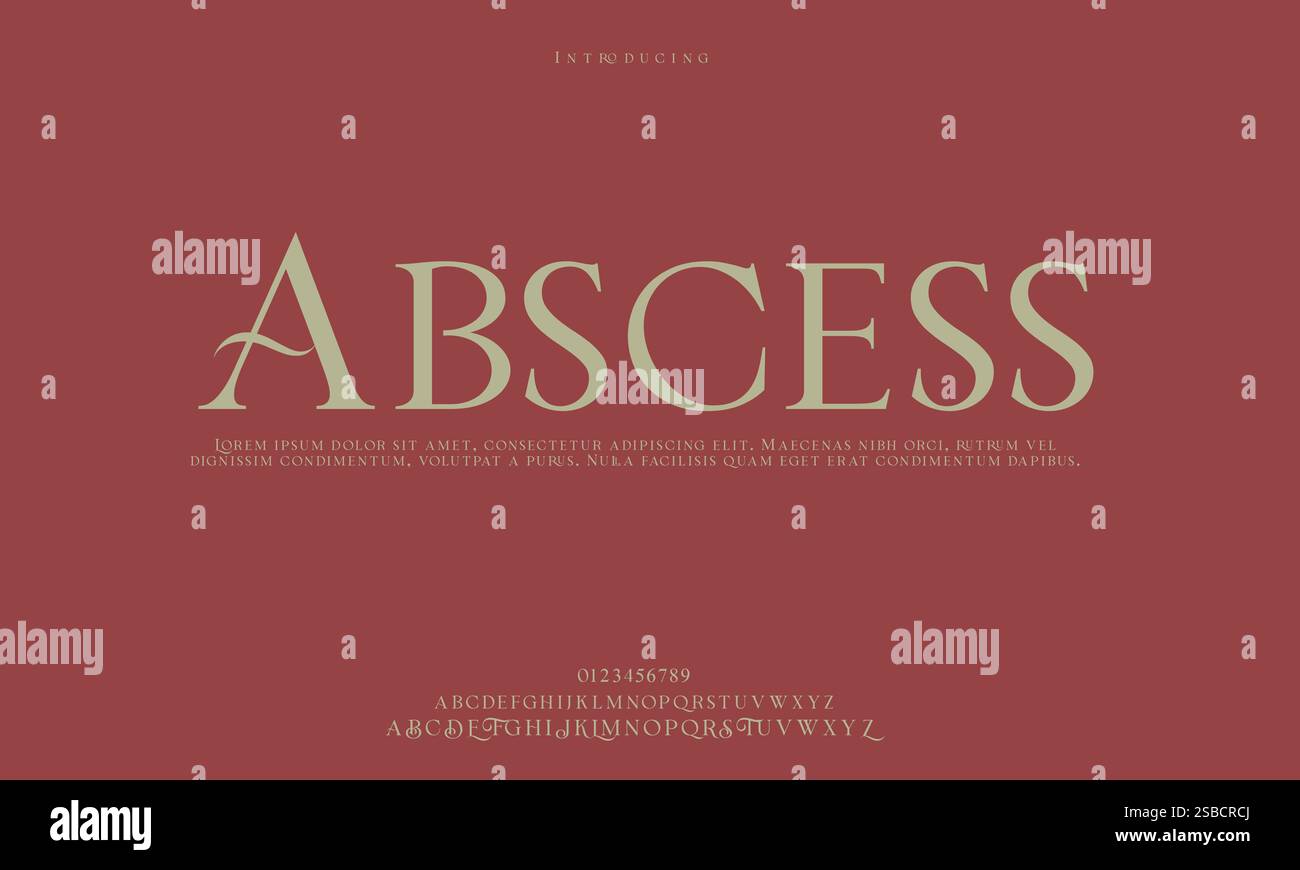 Elegant fonts add sophistication to any design, whether for branding, editorial, advertising, or ...