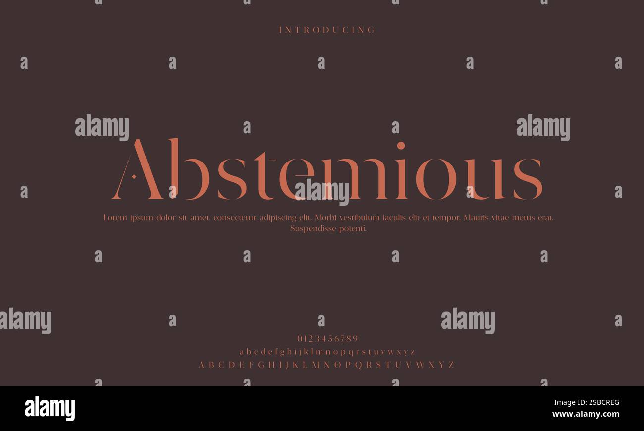 Elegant Font, Serif Typeface, Sans Serif, Modern Typography, Classic ...