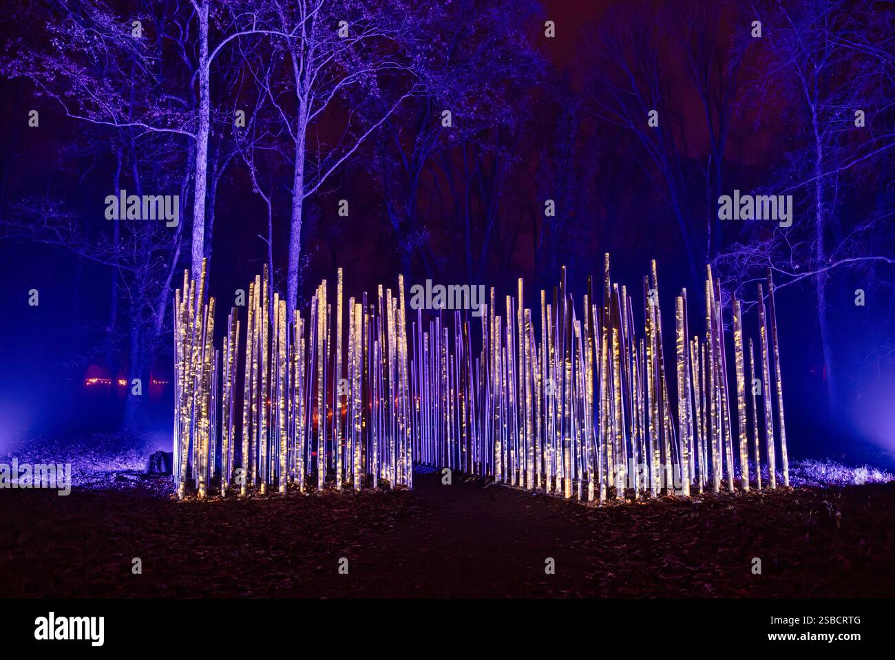Vibrant atmosphere of art hi-res stock photography and images - Alamy