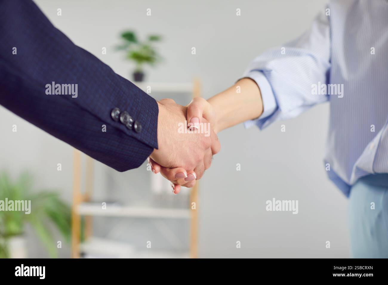 Handshake Between Two Business People In Office Stock Photo - Alamy
