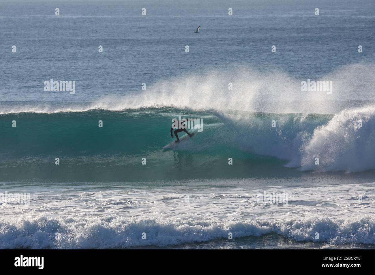 Surfer in black wetsuits balances while riding a wave in clear blue ...
