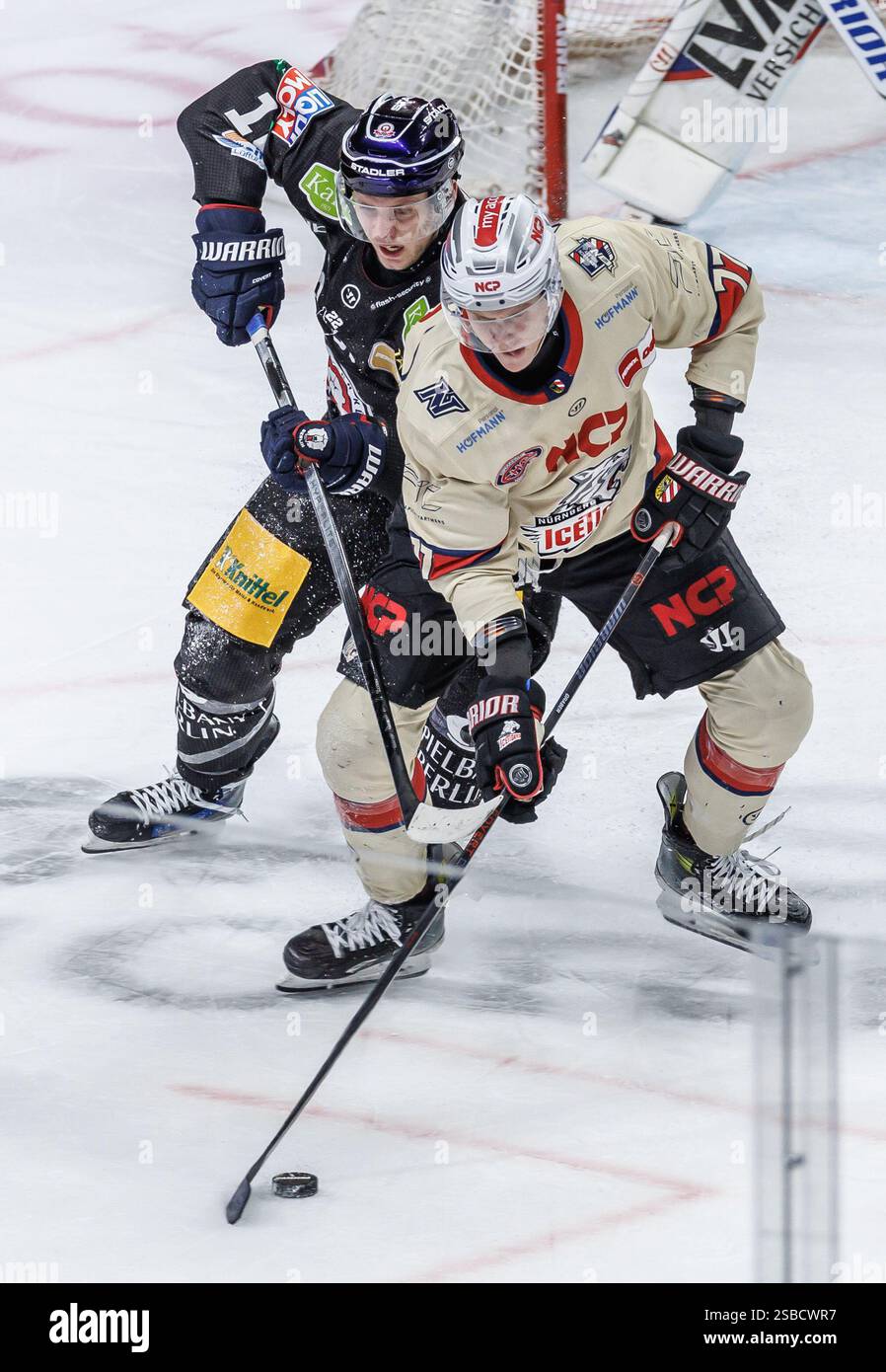 Berlin, Germany. 02nd Feb, 2025. Ice Hockey: DEL, Eisbären Berlin ...
