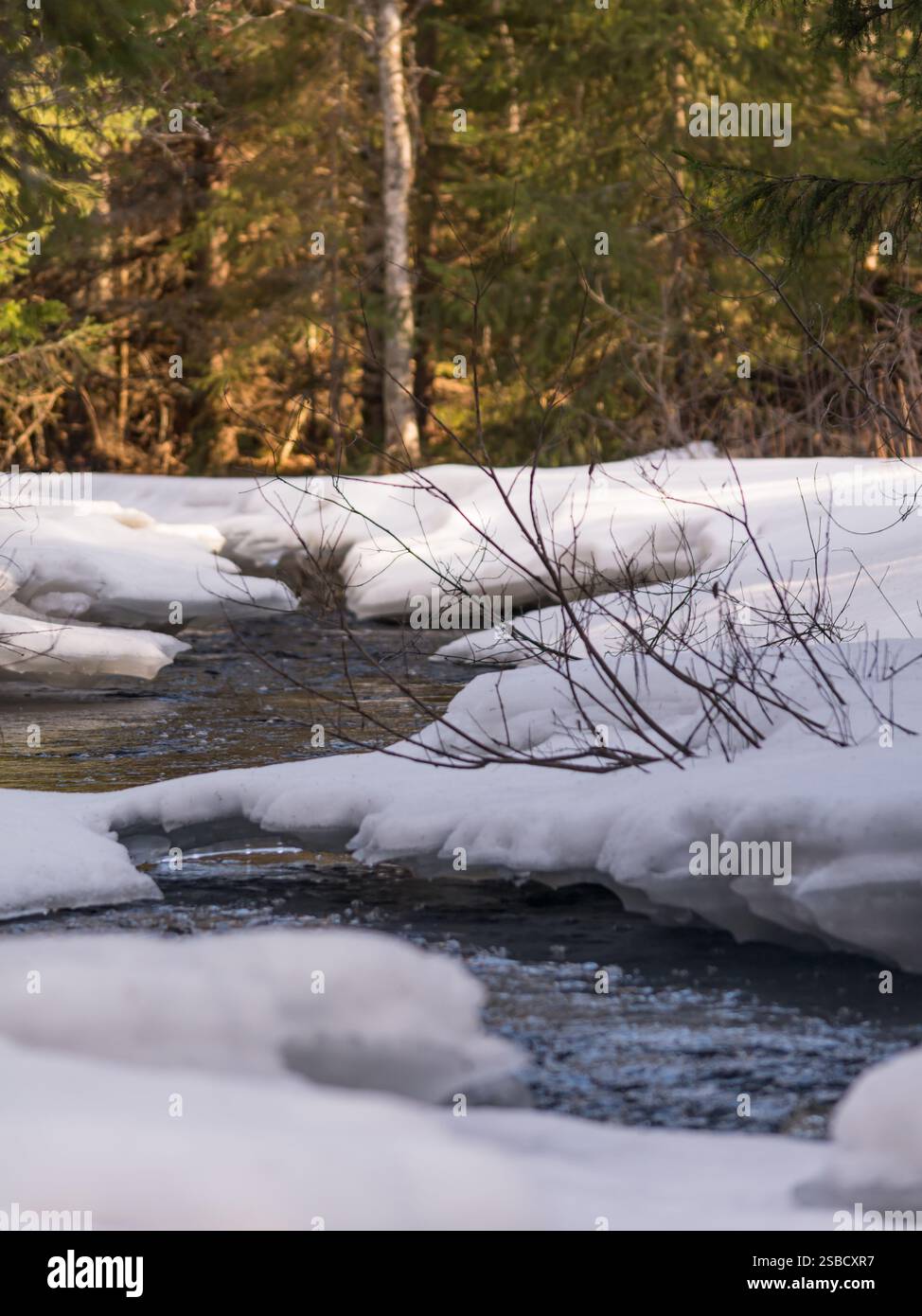 A small river flowing through melting snows in spring time in the ...