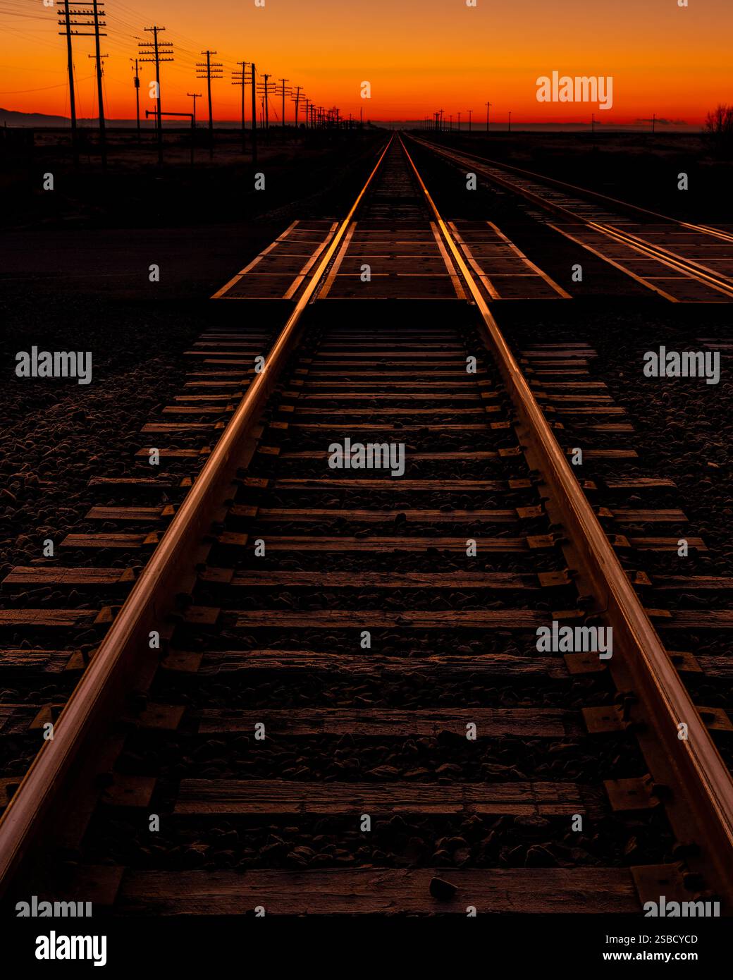 Sunrise along a railroad with tracks leading to horizon Stock Photo - Alamy