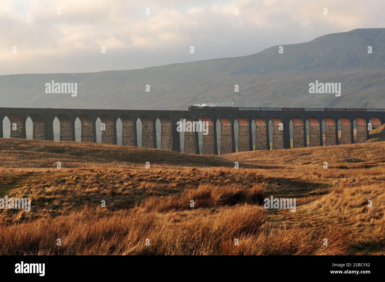 Ribblehead Viaduct Steam Train Stock Photo - Alamy