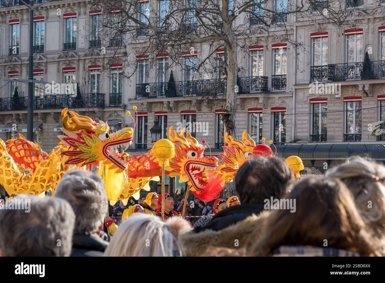 Lively parade celebrates Chinese New Year on the Champs-Elysees in 2025 ...