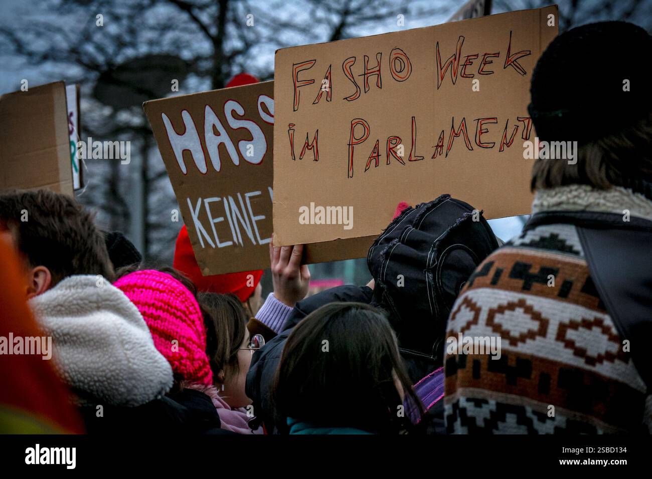 Berlin, Germany - February 2, 2025: Crowd of protesters at a march ...