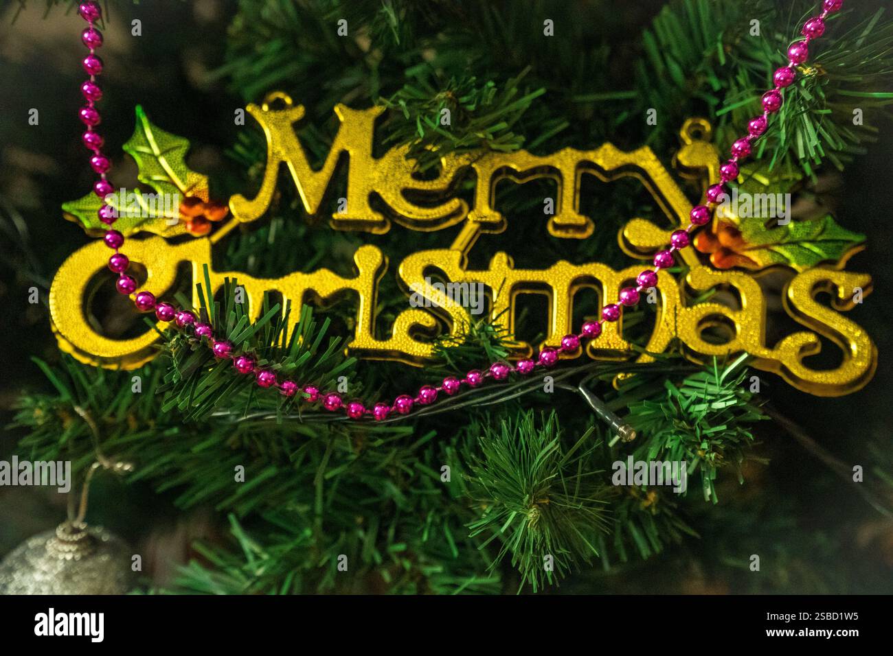 Merry Christmas is a joyful holiday celebrated in honor of the birth of ...