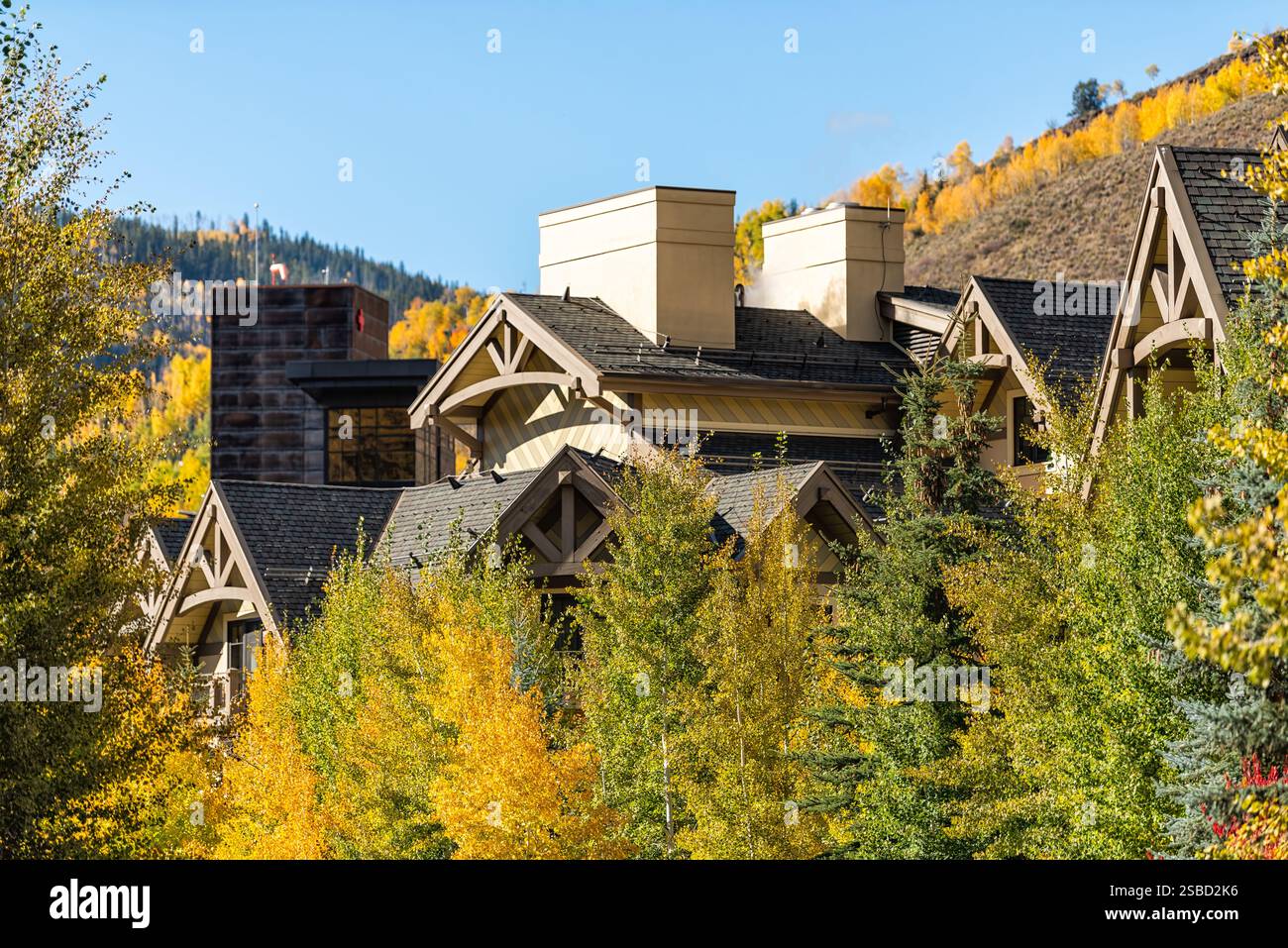 Vail Colorado in autumn fall golden yellow foliage aspen trees mountain ...