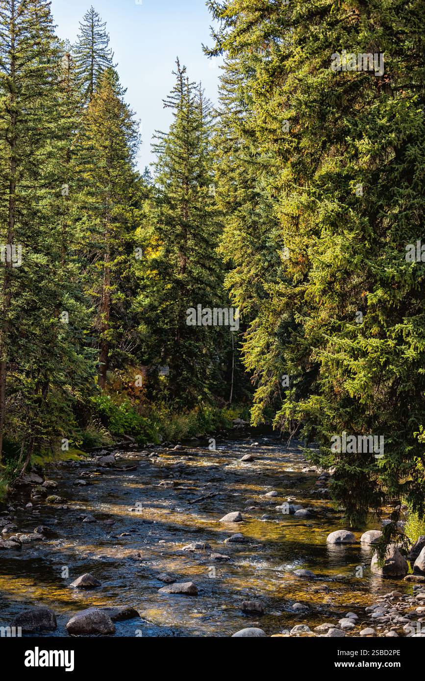 Vail Colorado ski resort town by Gore creek river in colorful autumn ...