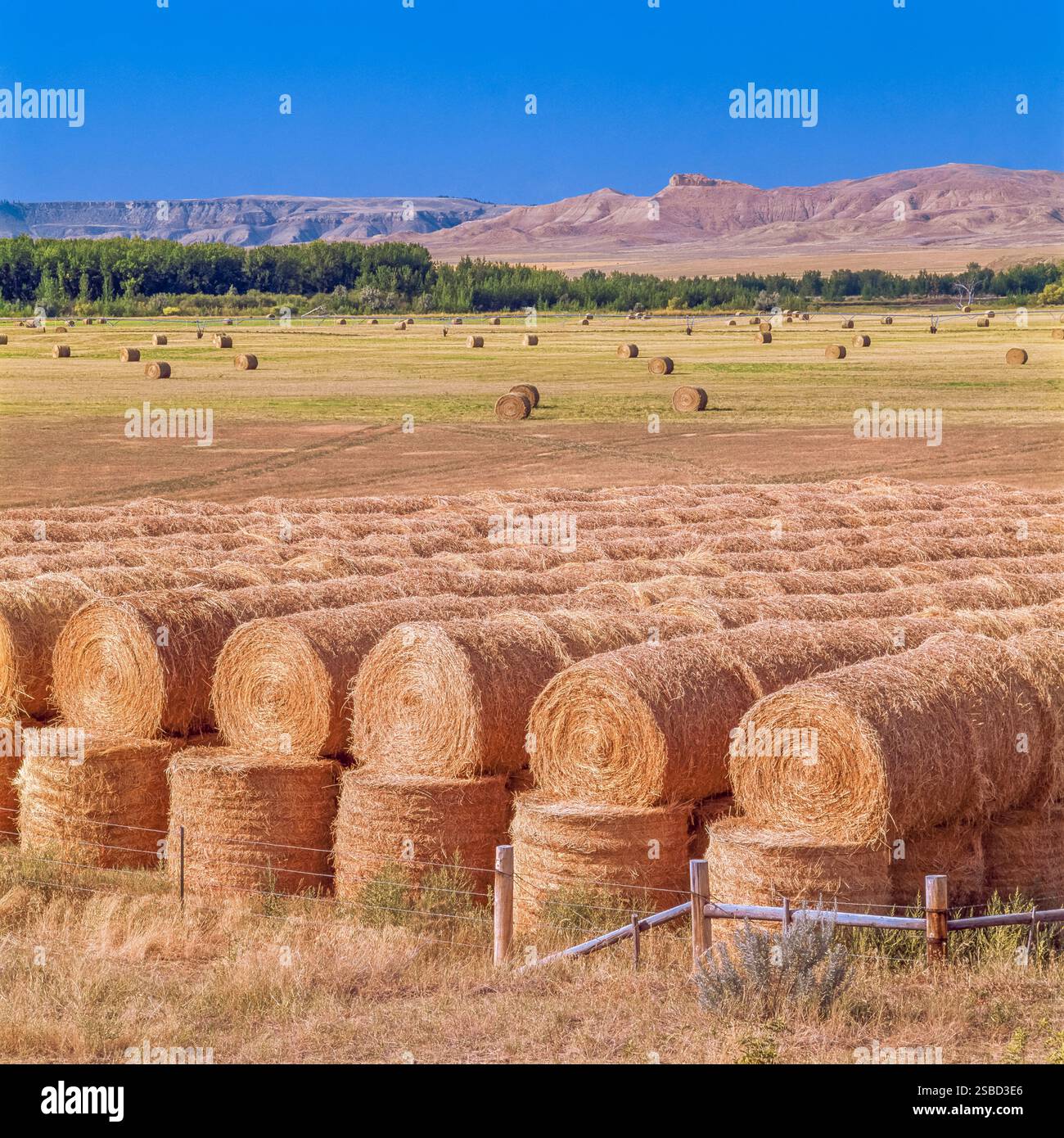 hay bales in the missouri river valley near judith landing, montana ...