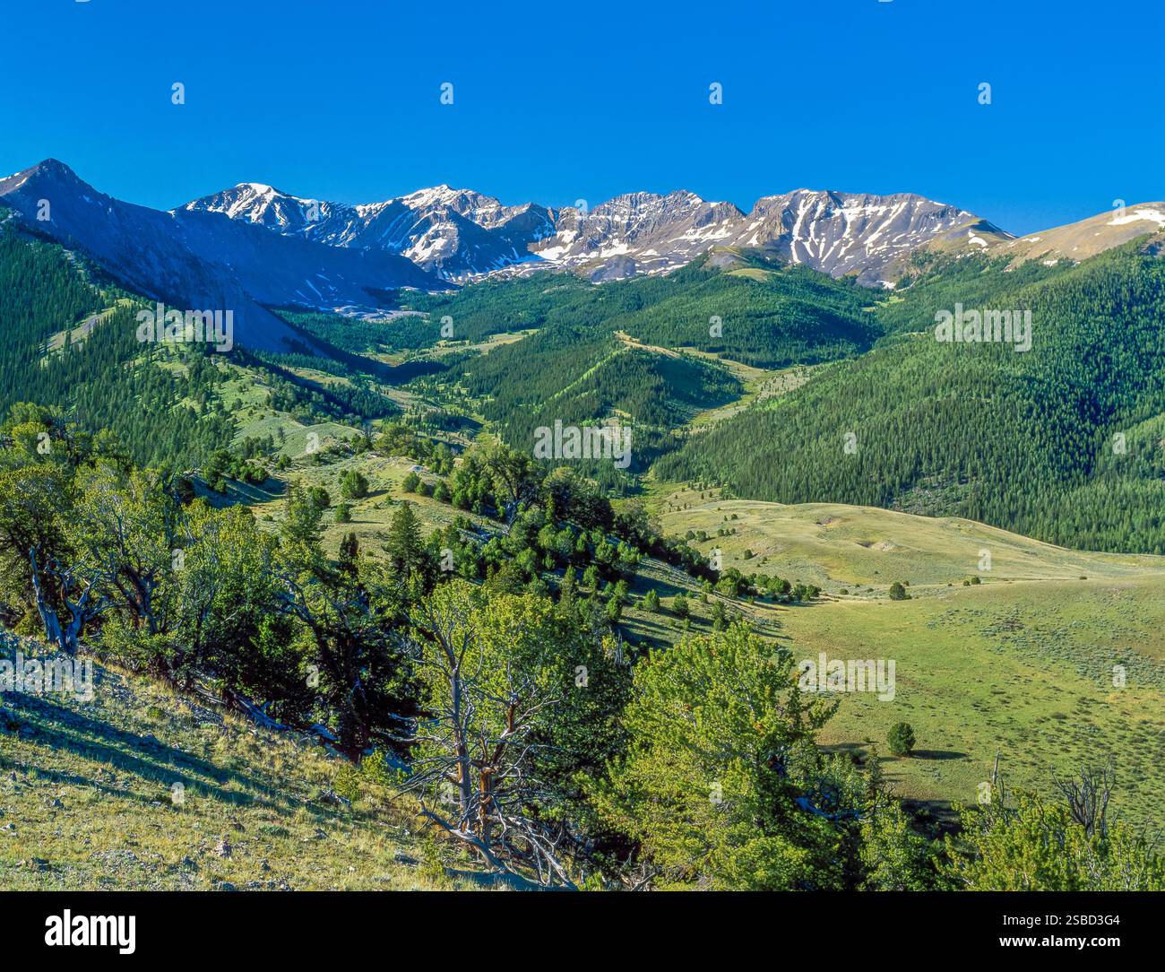 italian peaks section of the beaverhead range above the nicholia creek ...