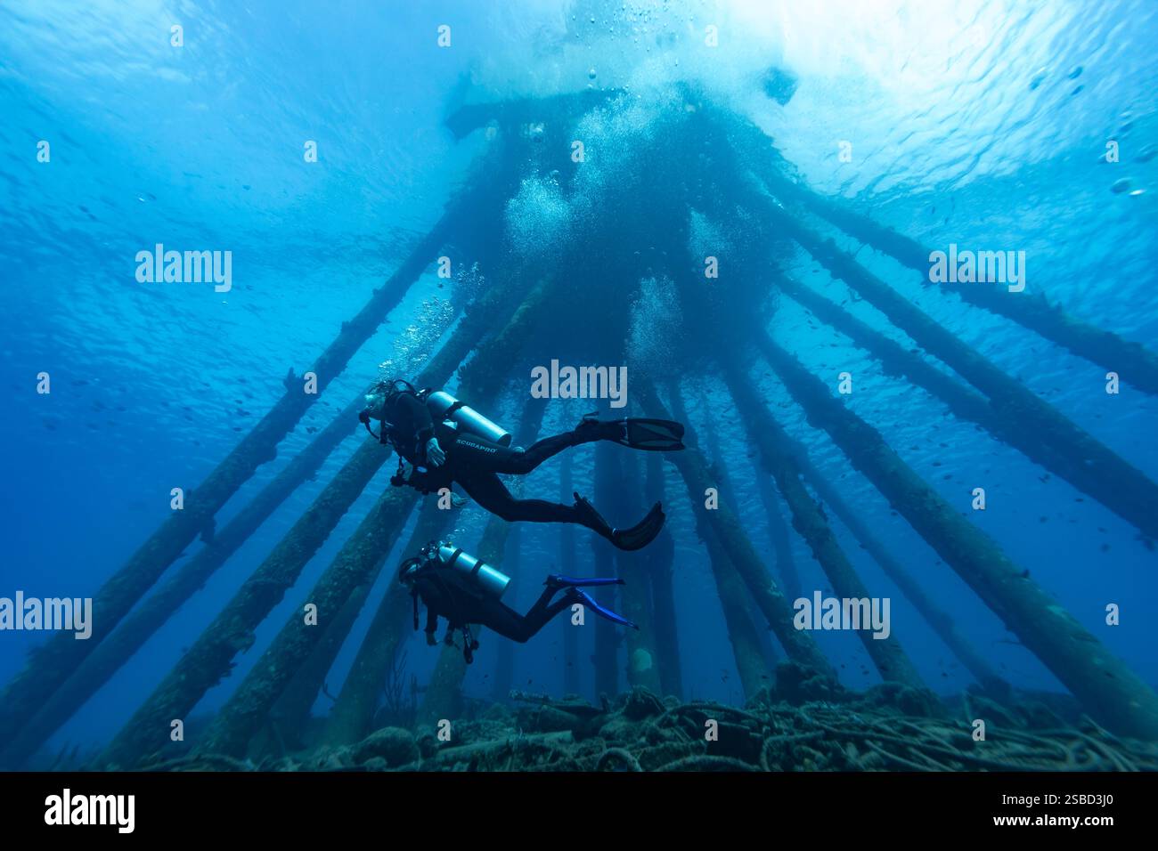 2 scuba divers swim under the structure of large pier with pile of ...