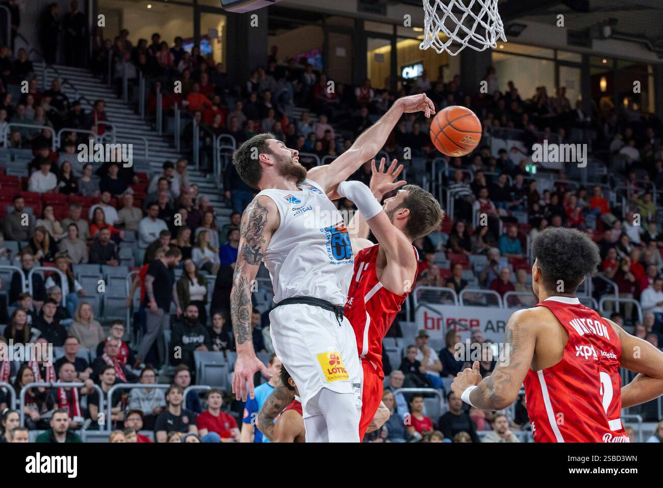 Bamberg, Deutschland 01. Februar 2025: 1.BBL - 2024/2025 - Bamberg ...
