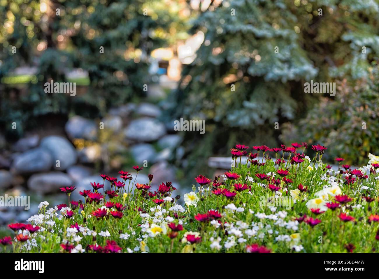 Vail Colorado gore creek in autumn fall foreground of vanstaden's river ...