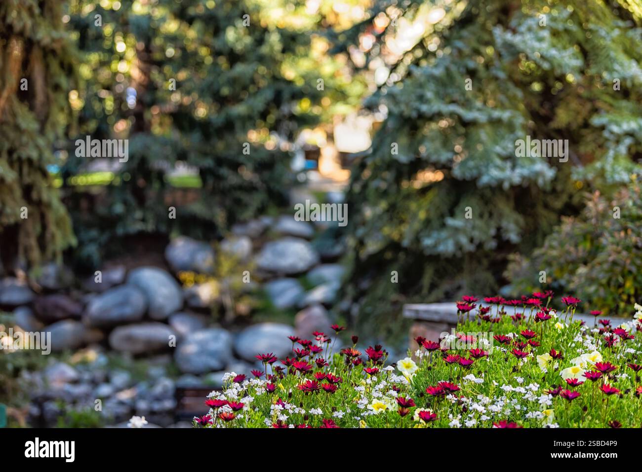 Vail Colorado gore creek river in autumn fall season with foreground of ...