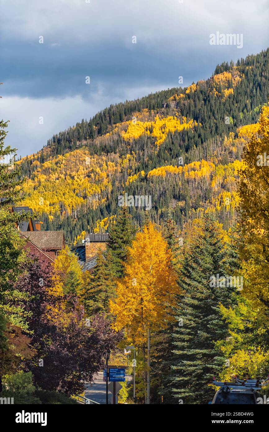 Vail Colorado mountain peak autumn fall golden yellow foliage aspen ...