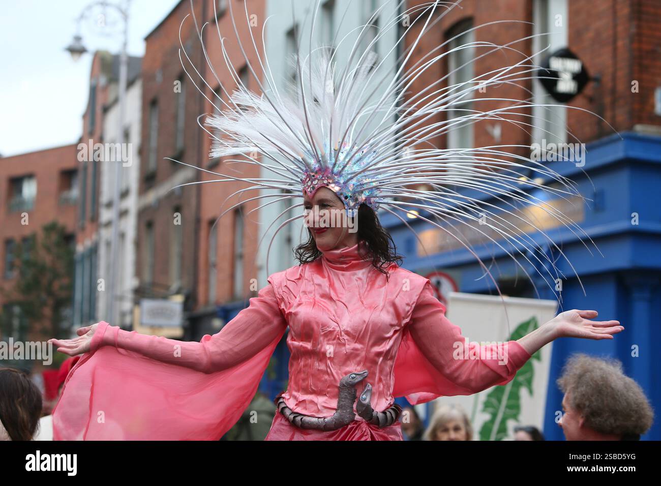 Dublin, Ireland - 02nd February 2025 -a participant in costume at the ...