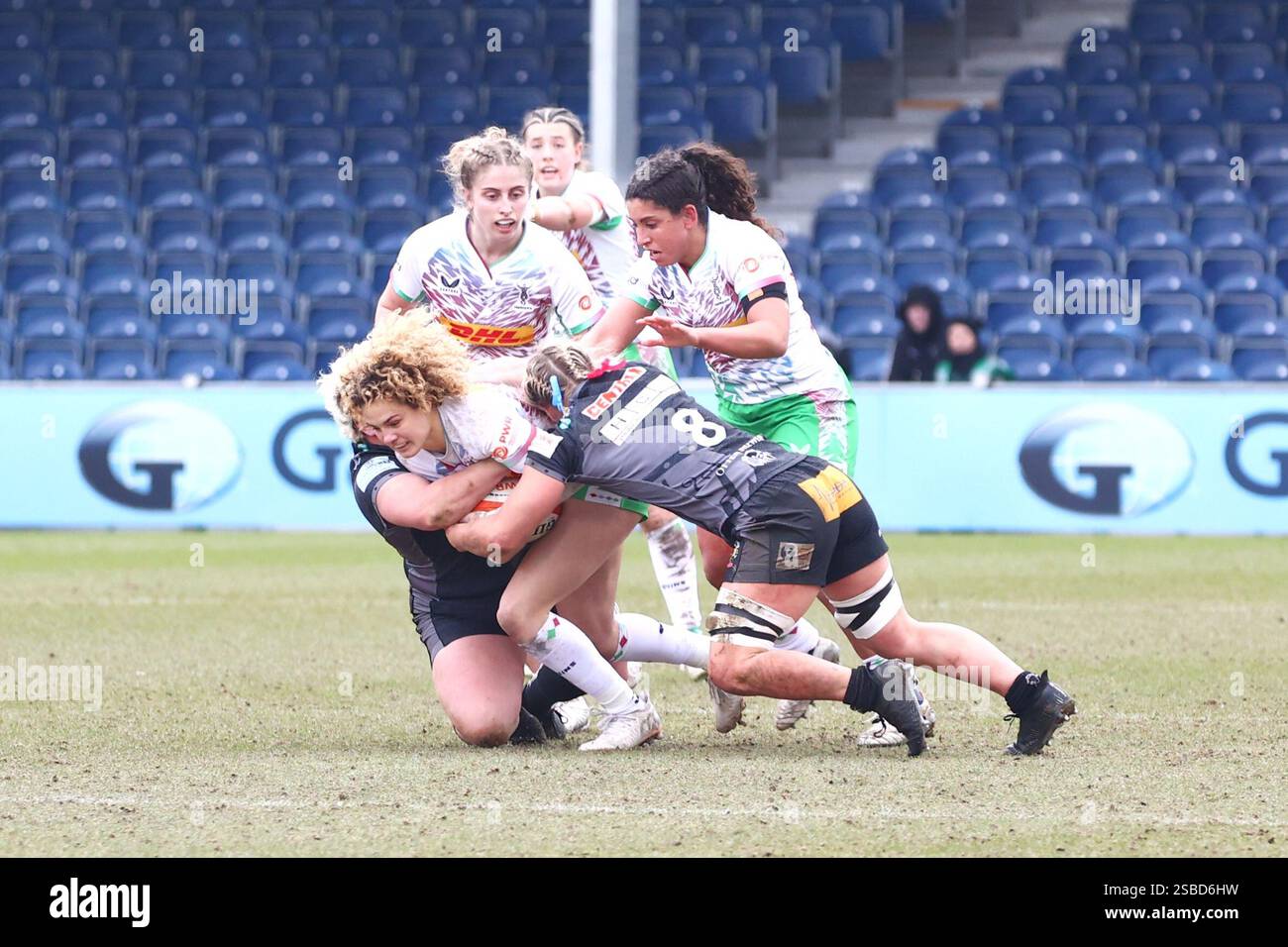 Exeter, Devon, UK. 2nd Feb, 2025. PWR Professional Women's Rugby Exeter ...