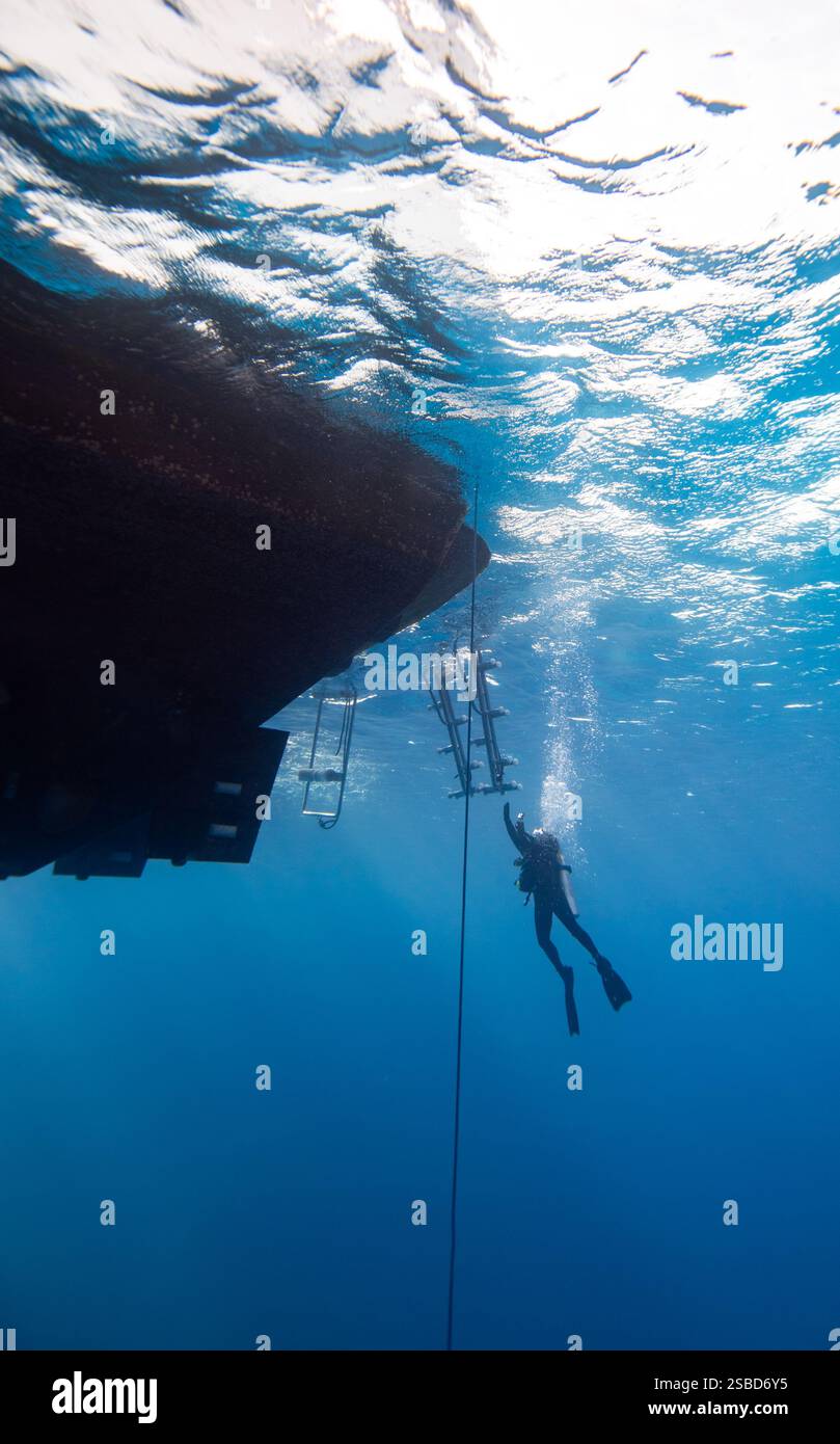 Scuba Diver ascends to ladder on dive boat above Stock Photo - Alamy