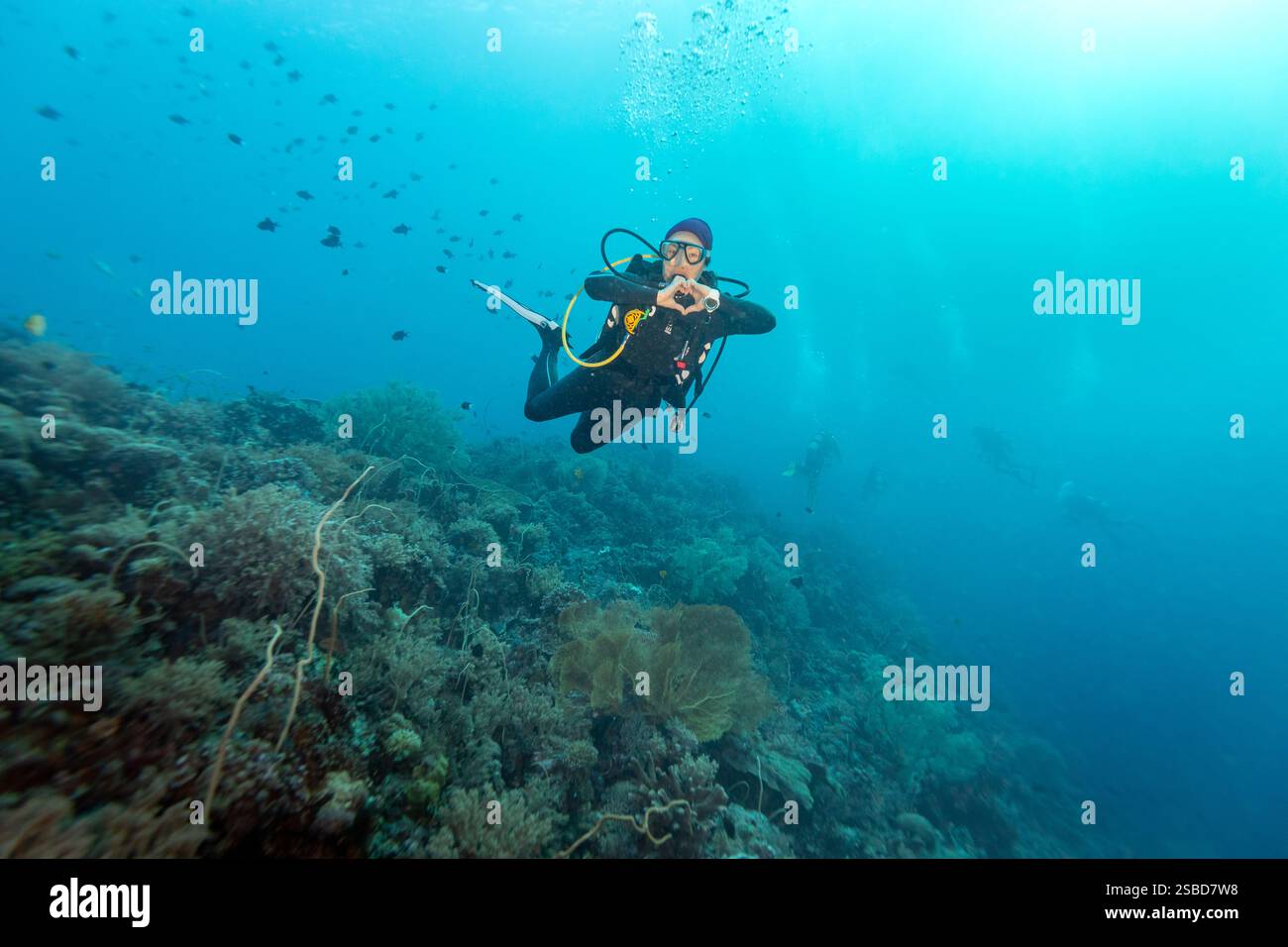 Scuba diver making heart hands swimming on tropical coral reef Stock ...