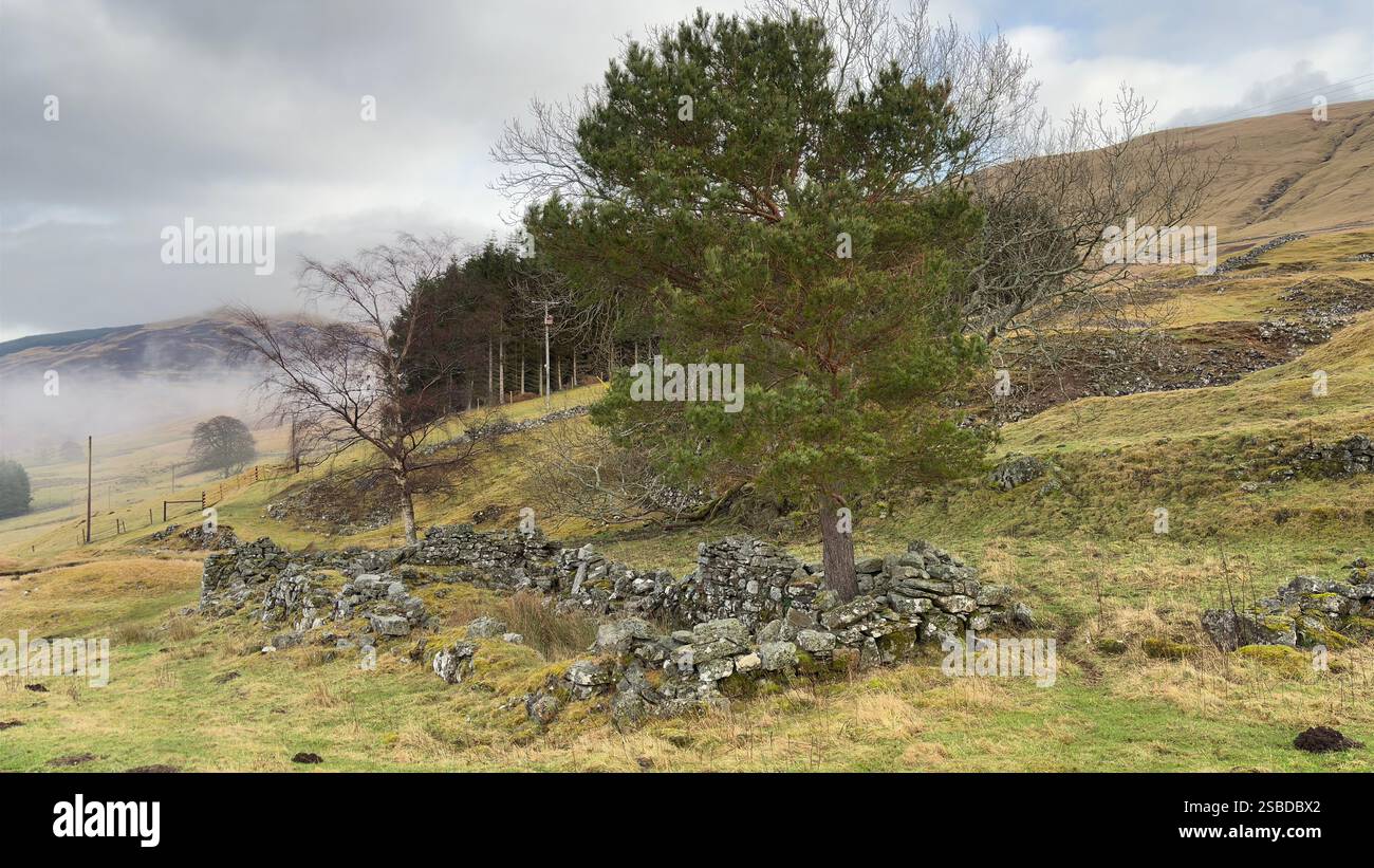 Abandoned copper mine of Tomnadashan. Also known as the Cave of ...