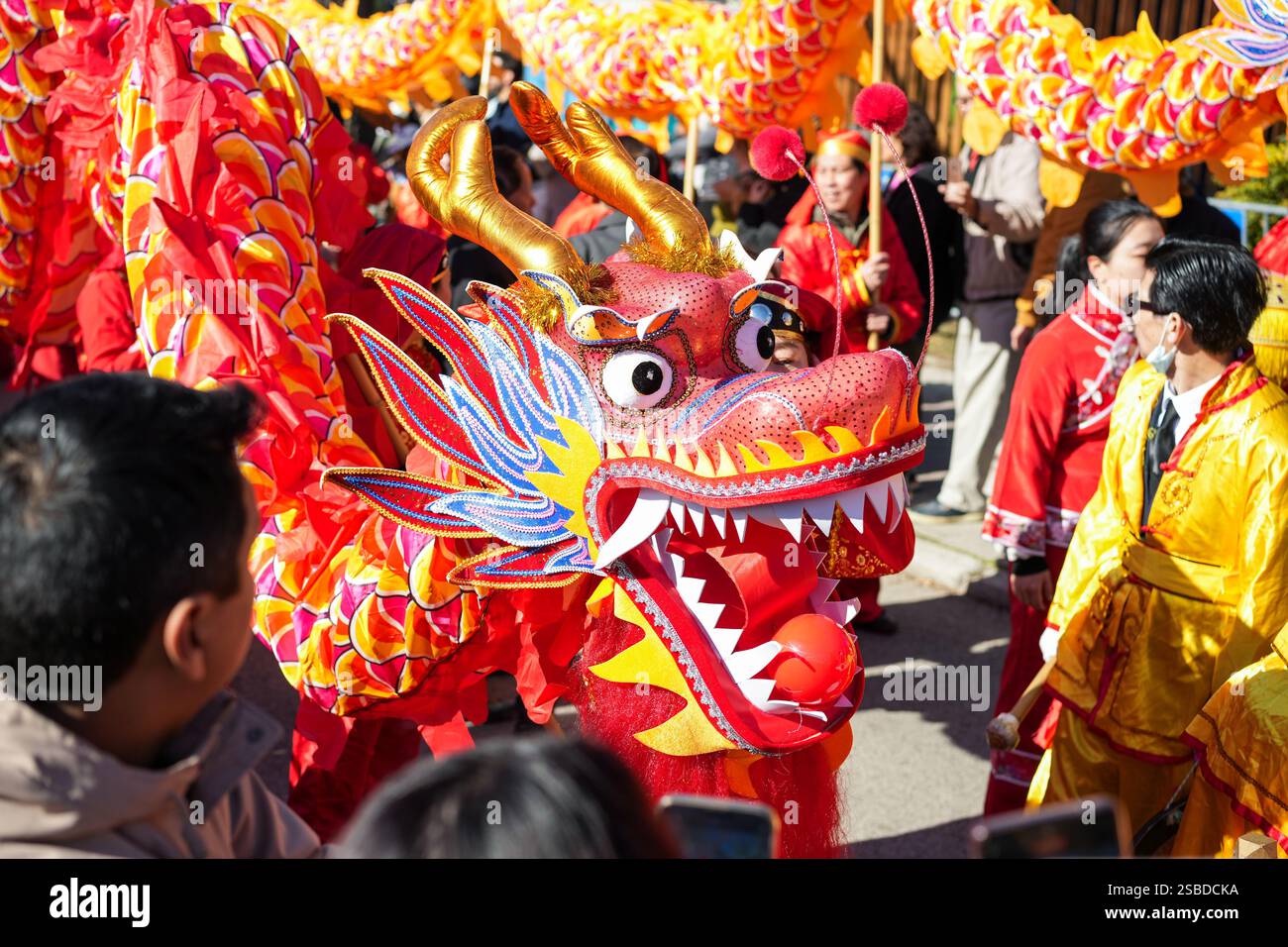 Chinese New Year parade is the main celebration of the colourful ...