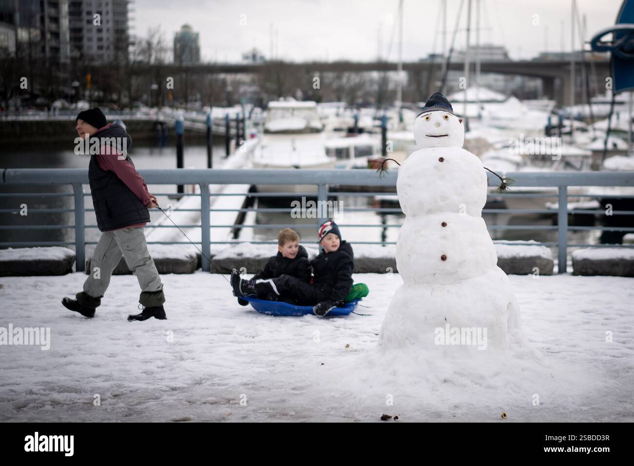 Vancouver, Canada. 02nd Feb, 2025. A man pulls kids in a sled as they ...