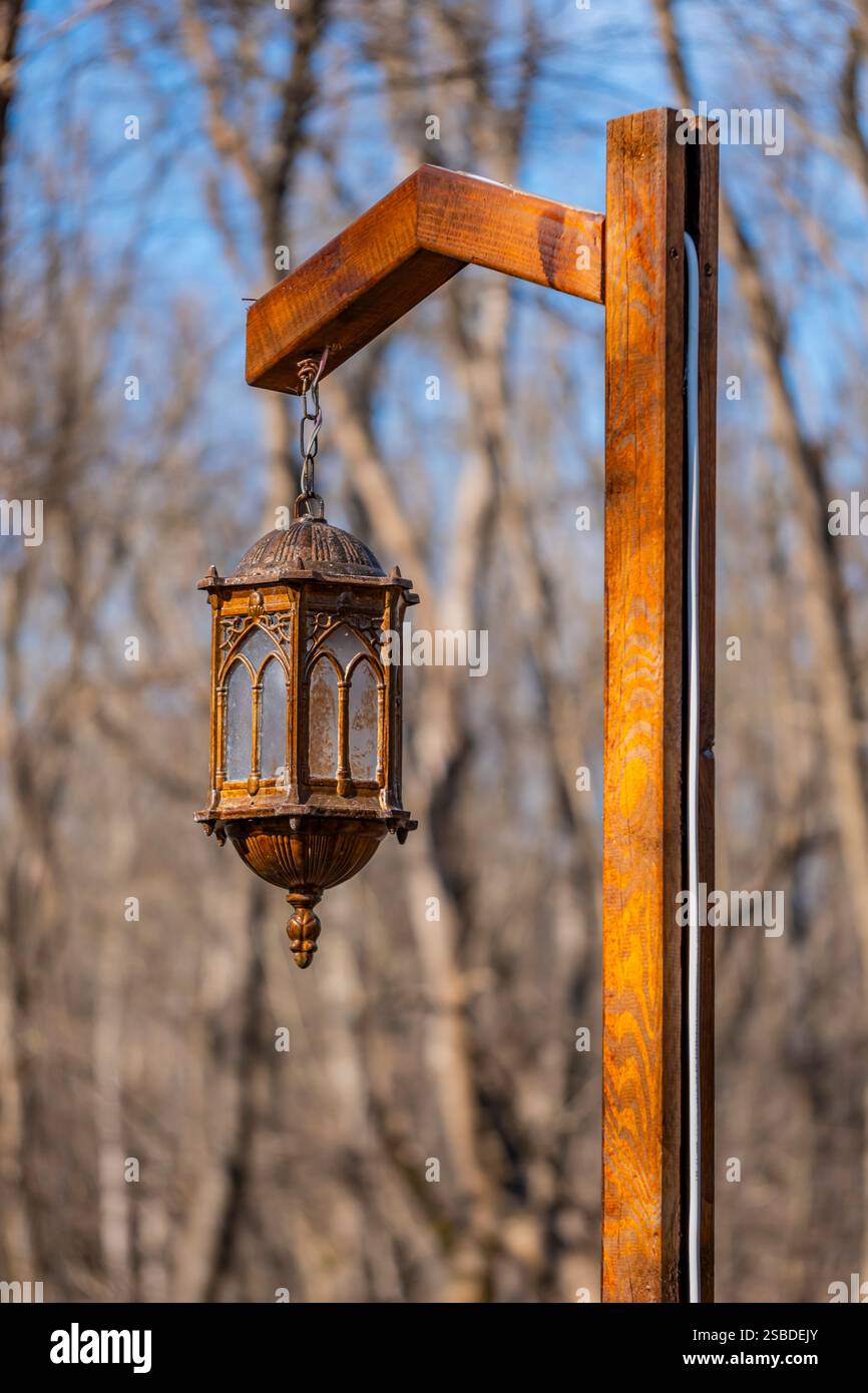 A lamp hanging from a tree branch. The lamp is hanging from a chain and ...