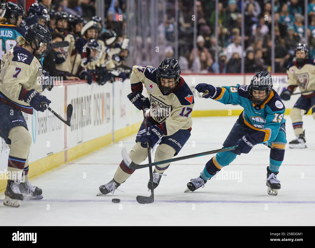 Newark, NJ, USA. 02nd Feb, 2025. Montreal Victoire forward Dara Greig ...