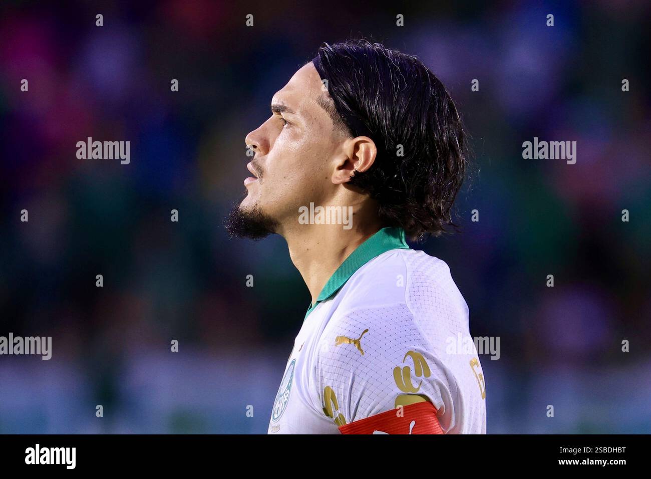 SP - CAMPINAS - 02/02/2025 - PAULISTA 2025, GUARANI x PALMEIRAS ...