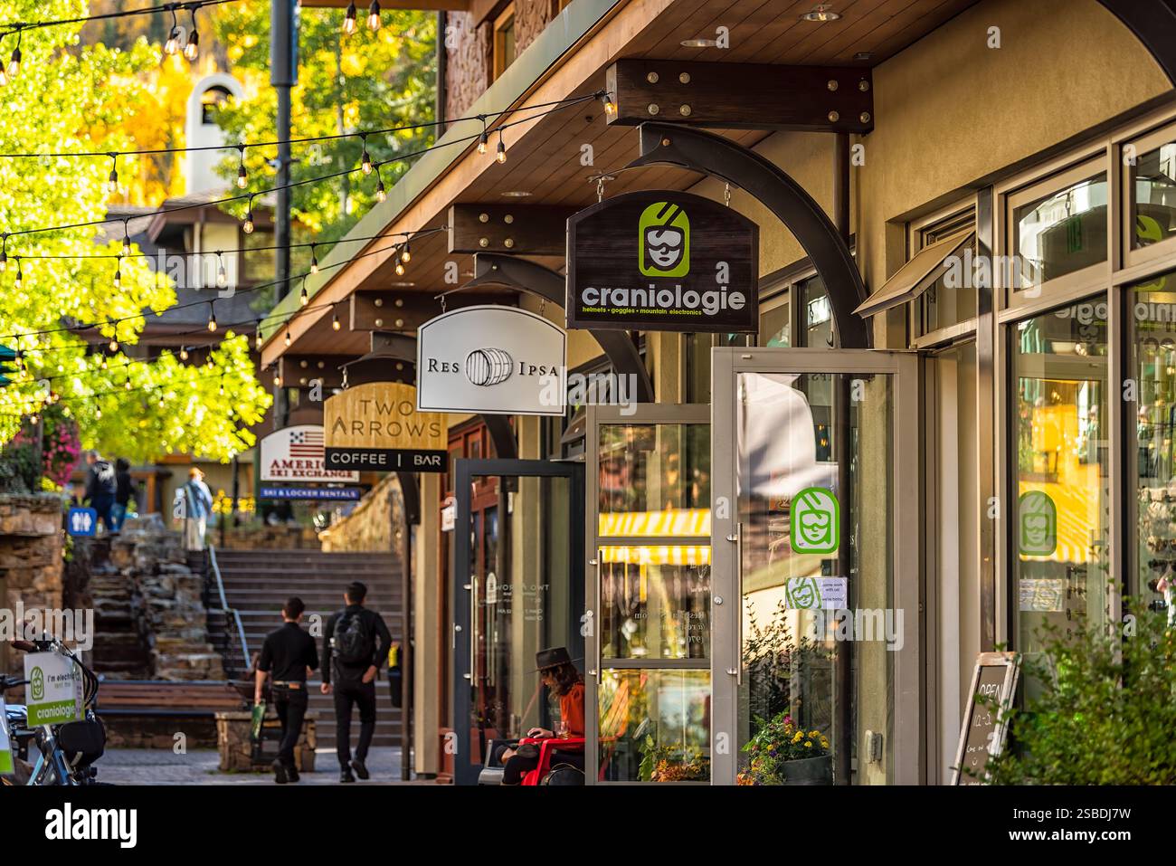 Craniologie hi-res stock photography and images - Alamy