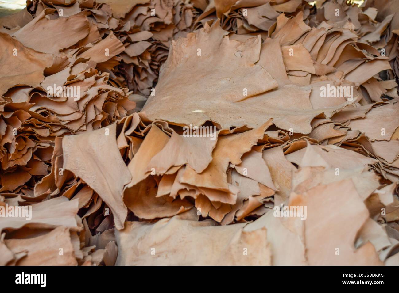 Natural leather in crafts stacked in a craft shop in the souk at ...