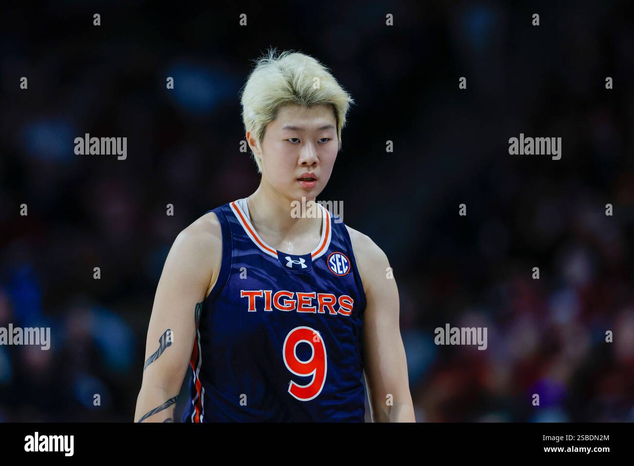 Auburn guard Yuting Deng walks to the bench during the second half of ...