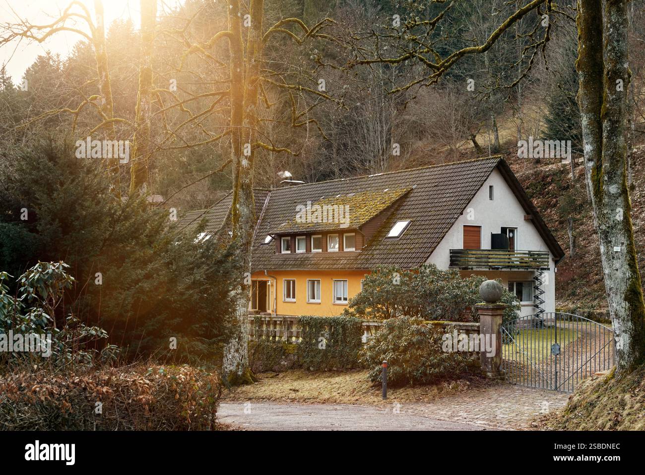 Idyllic countryside house in a forest with warm sunlight, rustic ...