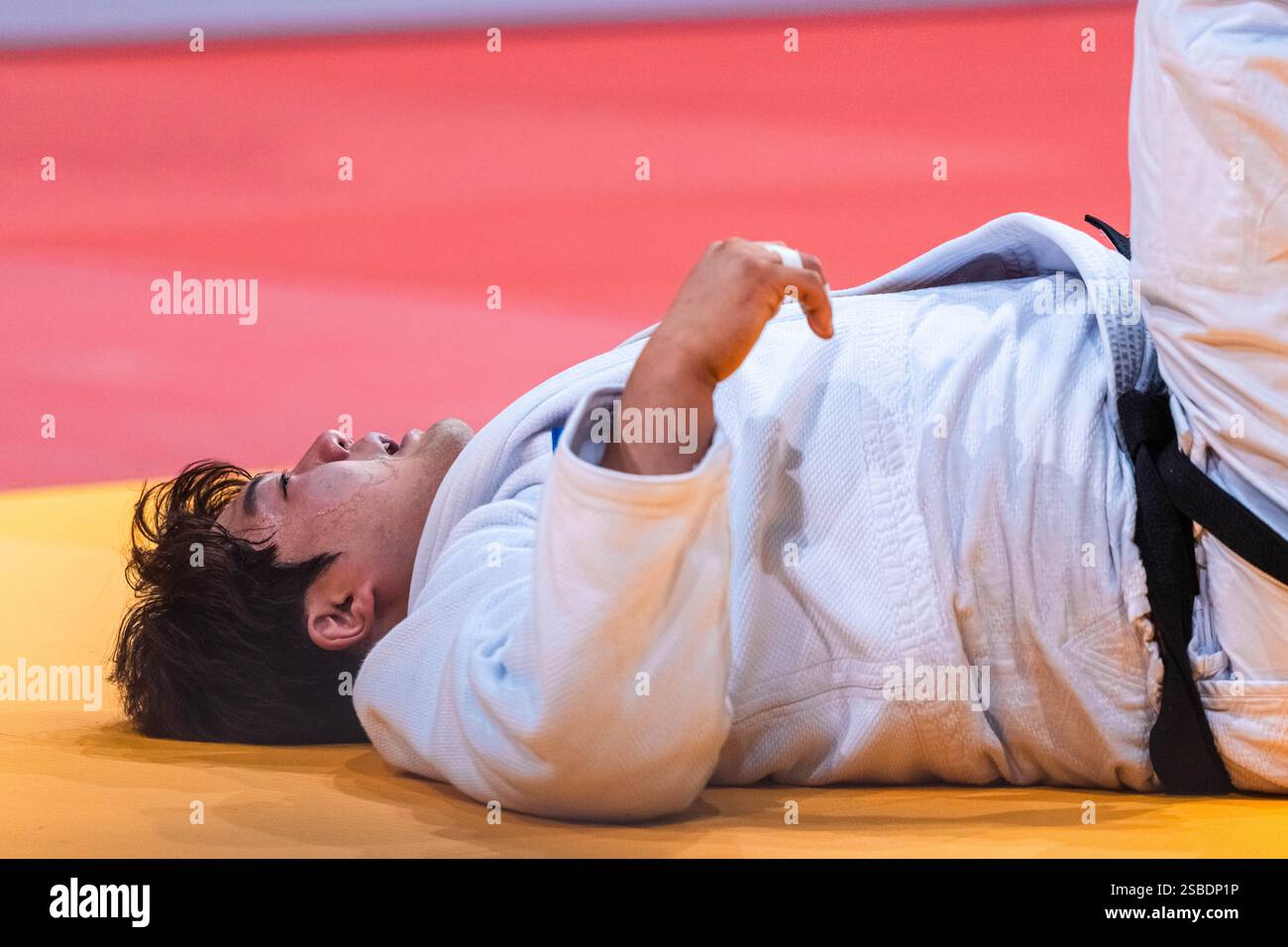 Seungyeob LEE (KOR) Final menâ??s +100kg during the Paris Grand Slam ...