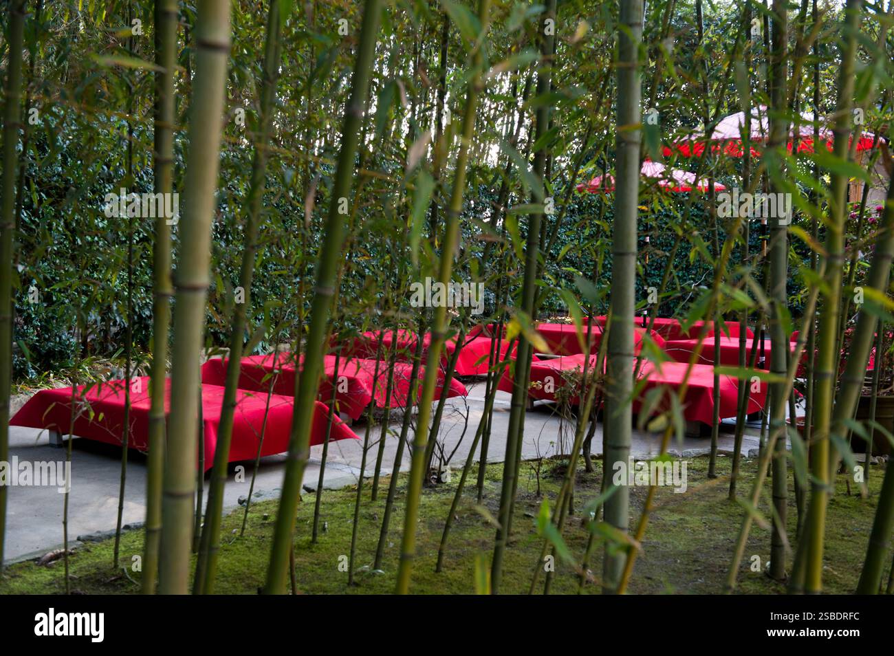 Bright red benches in a courtyard contrast with wispy bamboo stalks ...