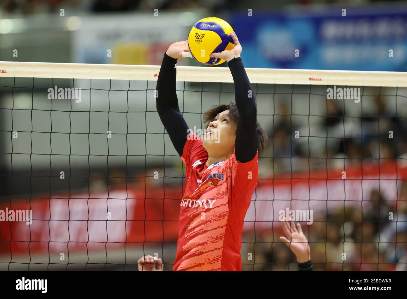 Masaki Oya, FEBRUARY 2, 2025 - Volleyball : 2024-25 SV.LEAGUE MEN between Suntory Sunbirds Osaka ...