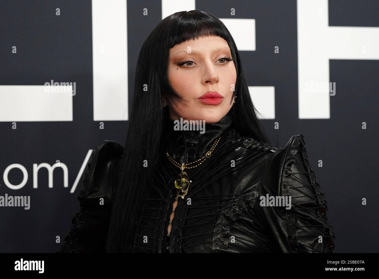 Lady Gaga arrives at the 67th annual Grammy Awards on Sunday, Feb. 2 ...