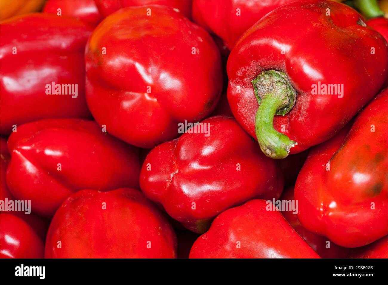Red Capsicum Bell peppers Stock Photo - Alamy