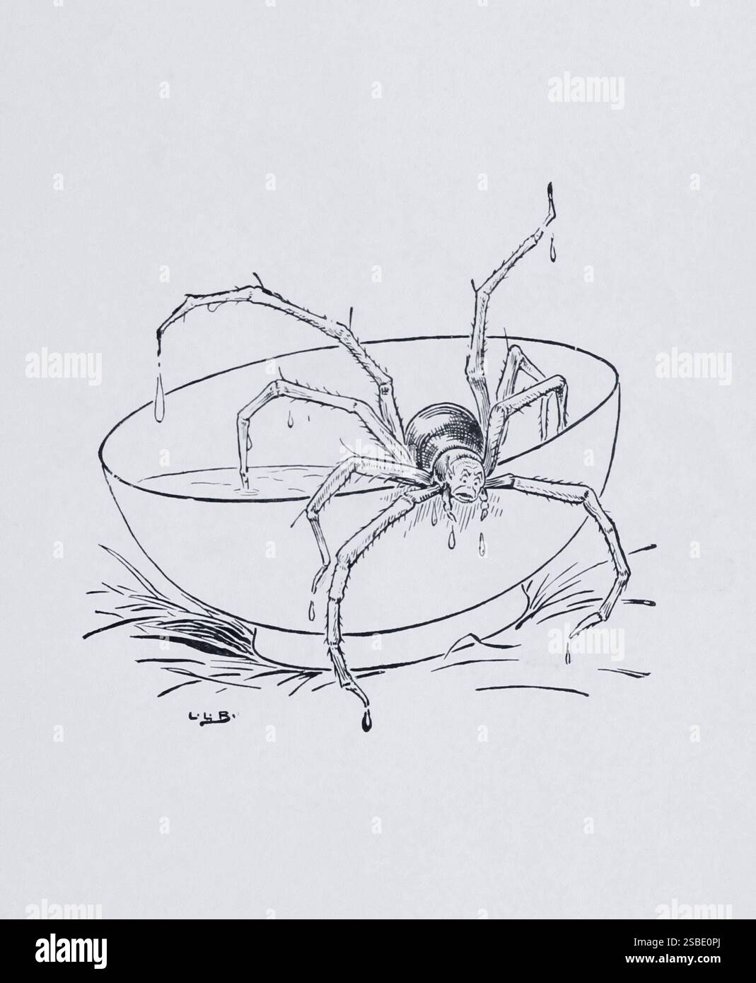 Spider illustration for the "Little Miss Muffet" nursery rhyme. Artist ...