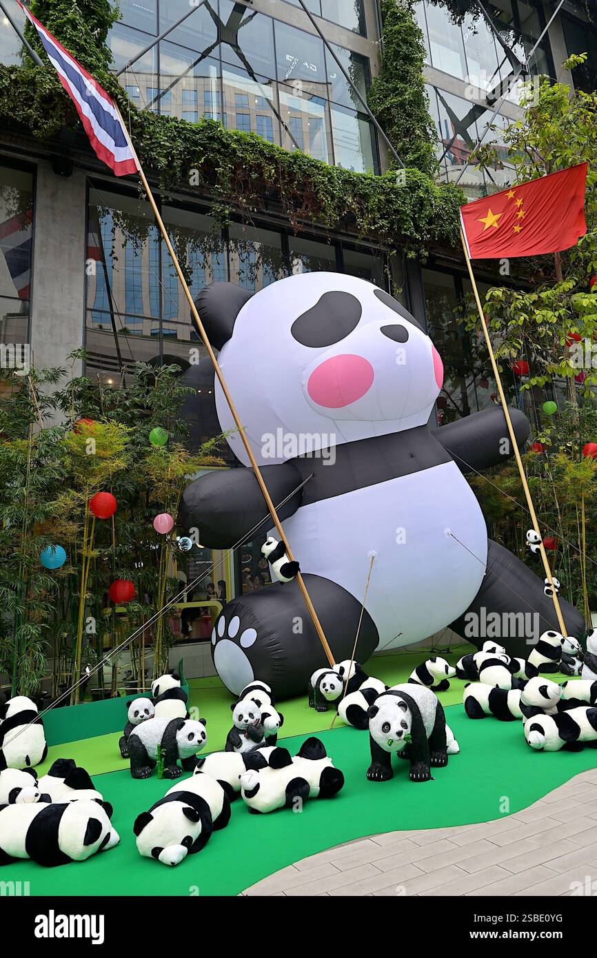 Pandas on display outside at a popular Bangkok shopping mall to mark ...